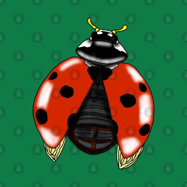 Luck as form, Nature as icon. still wings - Ladybug Art - T-Shirt ...
