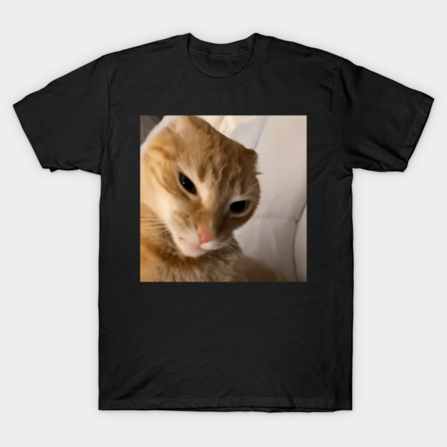 Angry Orange Cat - Angry Orange Cat - T-Shirt | TeePublic