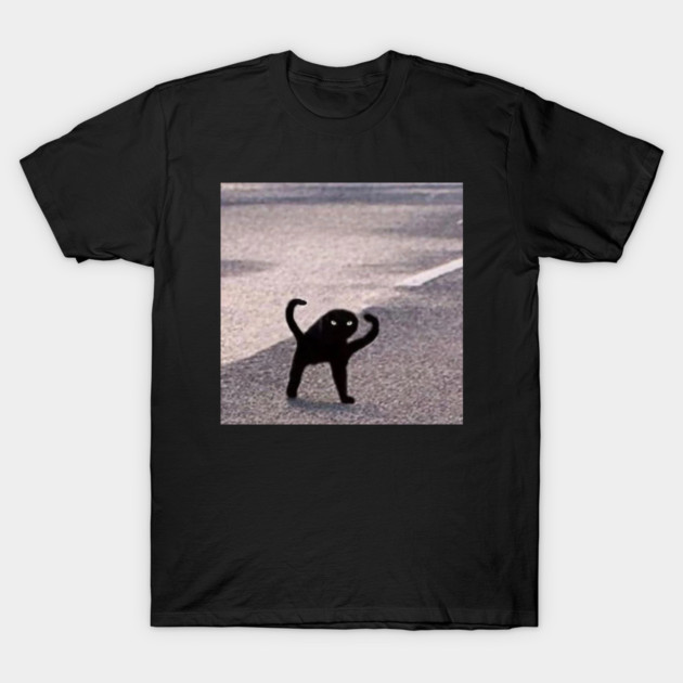 Cursed Cat Meme - Cursed Cat Meme - T-Shirt | TeePublic