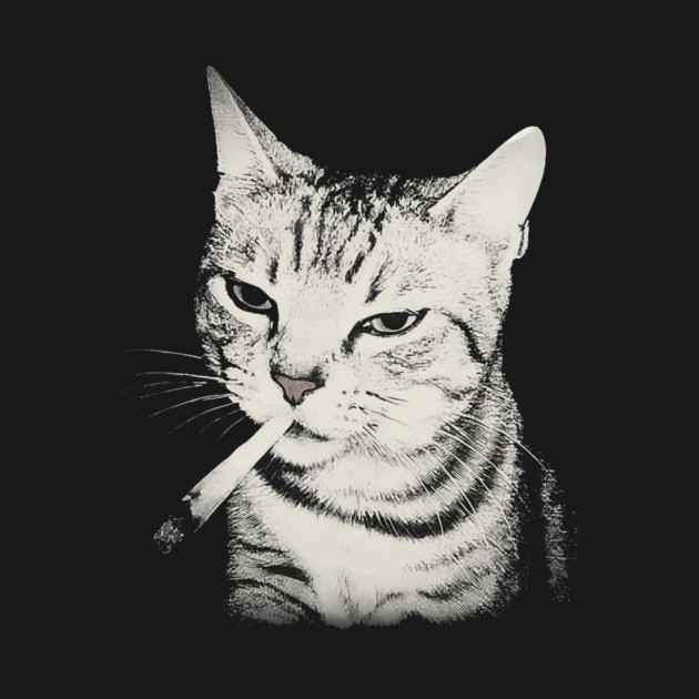Cat Smoking Cigarette Meme Cat Animal for Men Women - Cat - T-Shirt ...