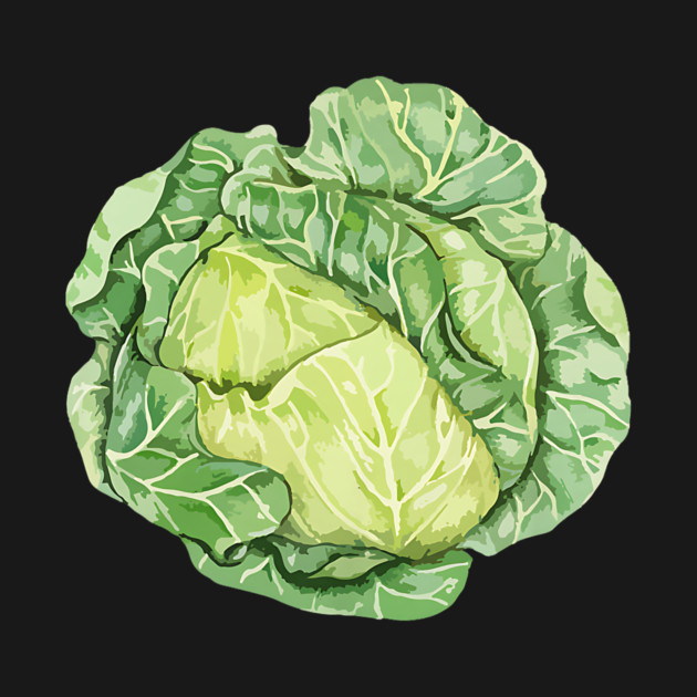 Cabbage Costume Salad Vegan Vegetarians - Cabbage Costume Salad Vegan ...