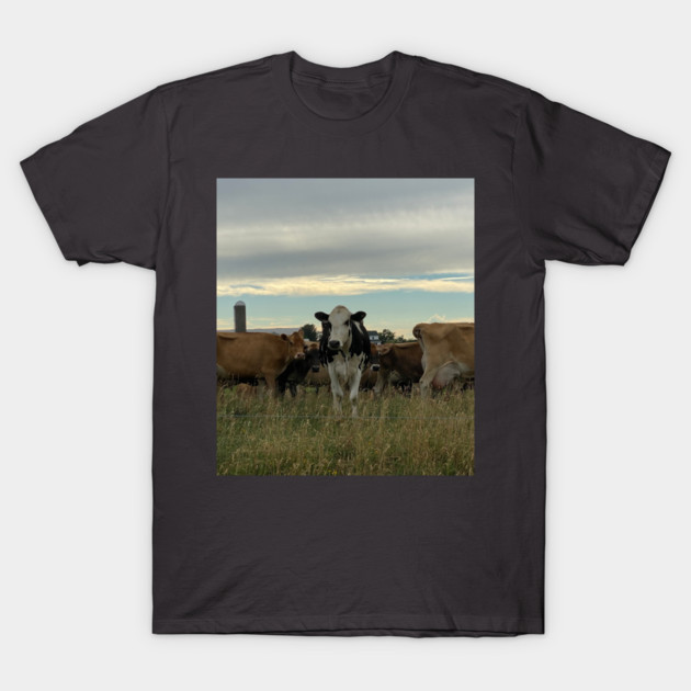 Moo - Funny Animals - T-Shirt | TeePublic