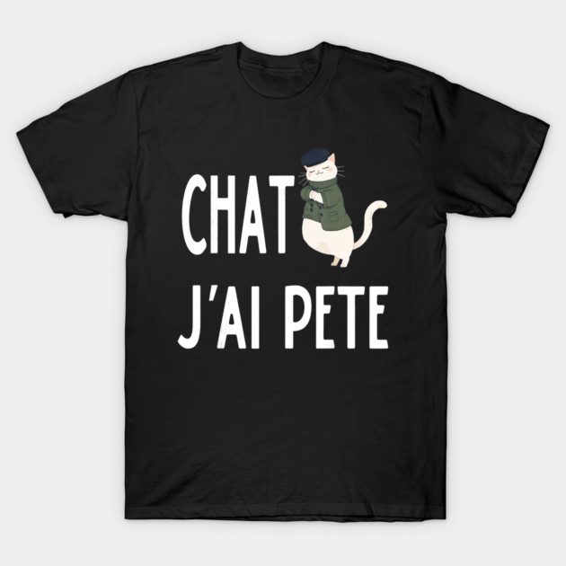 Chat J Ai Pt French Cat Meme Illustration Design For Tech Humor Fans ...