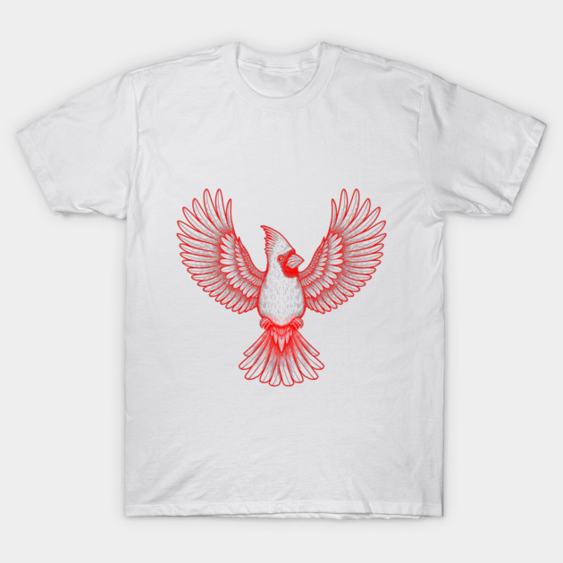 Red cardinal bird cute northern cardinal - Red Cardinal Bird Northern ...