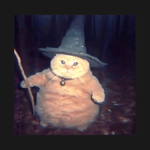 Cat Halloween Cat Wizard Cat Weird Cat Ghost - Cute Cat Meme - T-Shirt ...