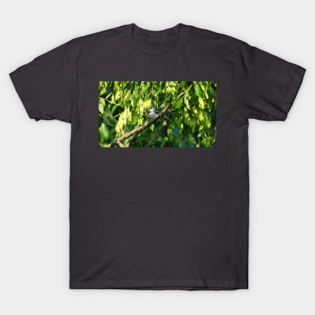 Black-capped Chickadee On a Tree Branch - Chickadee Bird - T-Shirt ...