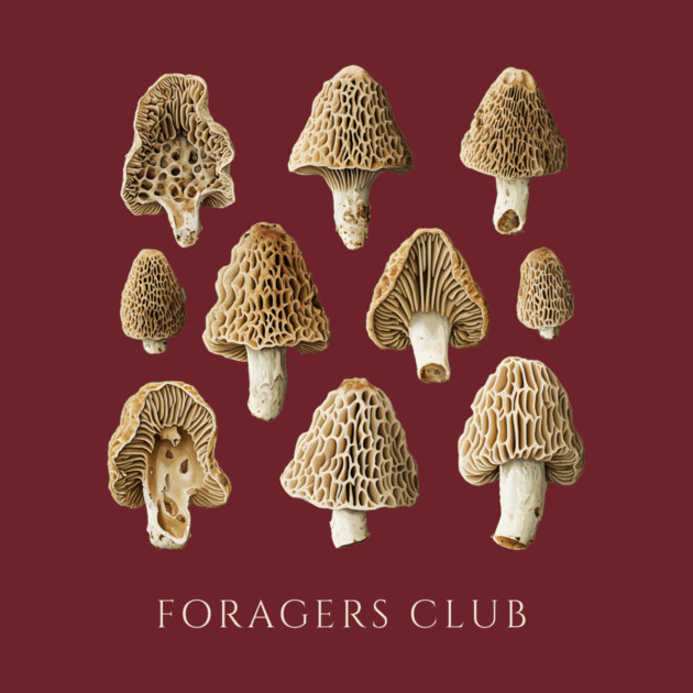 Foragers Club Morel Mushrooms – Wild Mushroom Nature - Mushrooms - T ...