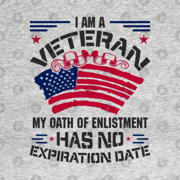 Veteran Oath of Enlistment USA Military Pride - Veterans Day - T-Shirt ...