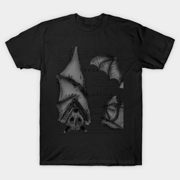 Sketches Of Bats Over A Text Background - Bat Sketch Texture - T-Shirt ...