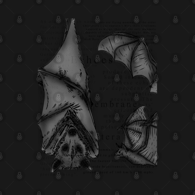 Sketches Of Bats Over A Text Background - Bat Sketch Texture - T-Shirt ...
