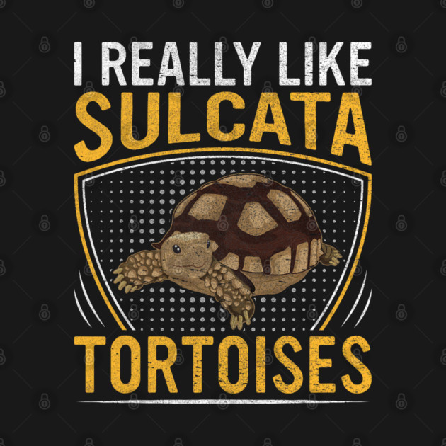 Turtle Pet Reptile Tortoise Species Really Like Sulcata Tortoises 1 ...