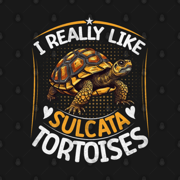 Turtle Pet Reptile Tortoise Species Really Like Sulcata Tortoises 7 ...