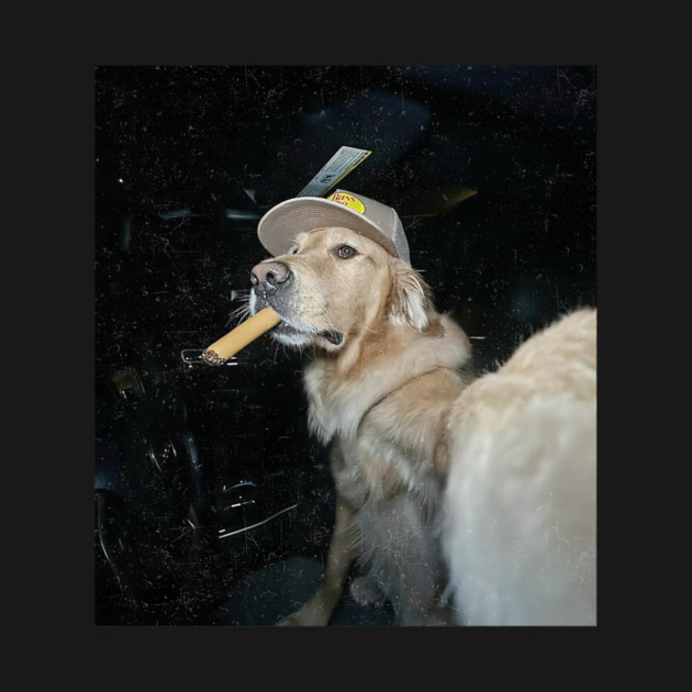Dog Smoking Cigarette Funny Golden Meme - Golden Dog - T-Shirt | TeePublic