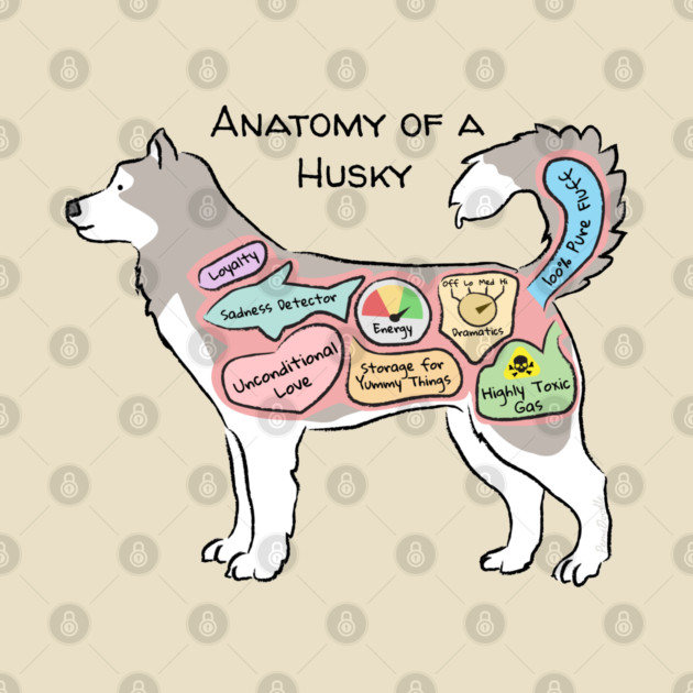 Anatomy of a Husky - Husky Dog - T-Shirt | TeePublic