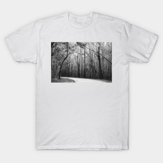 Serene Forest Path in Winter - Winter Season - T-Shirt | TeePublic