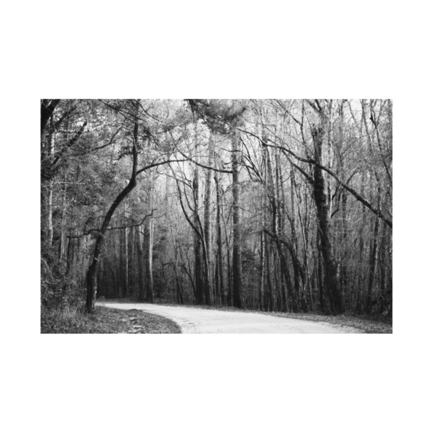 Serene Forest Path in Winter - Winter Season - T-Shirt | TeePublic