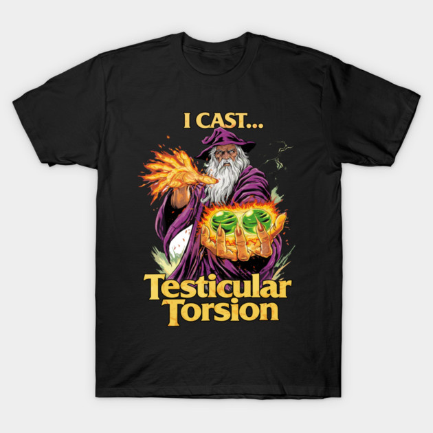 I Cast Testicular Torsion Funny Wizard Meme - I Cast Testicular Torsion ...