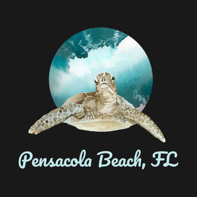 Turtle Pet Pensacola Beach FL Ocean Animals Sea Turtle Lovers - Turtle ...