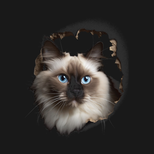 S2 Birman Cat (23) - Birman Cat - T-Shirt | TeePublic