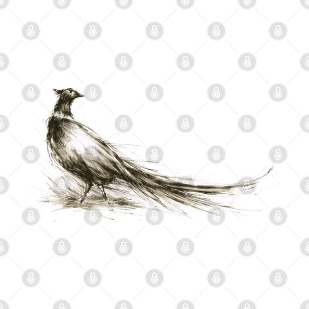 Pheasant with Long Tail – Expressive Ink Bird Illustration - Pheasant ...