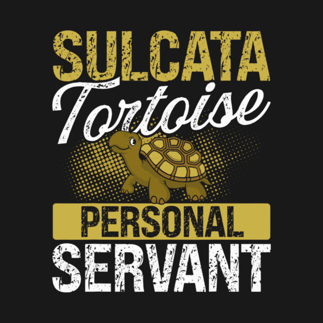 Turtle Pet Sulcata Tortoise Mom Turtle African Spurred Tortoise ...