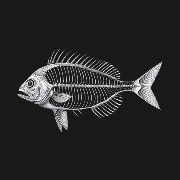 Diplomystus Fossil Eocene Fish Paleontology Science - Fossil Eocene ...