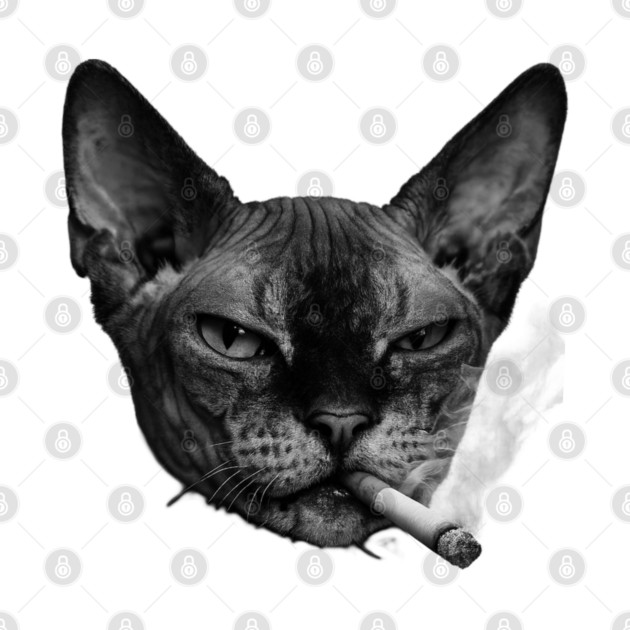 sphynx cat Smoking Cigarette Funny cat - Animals - T-Shirt | TeePublic