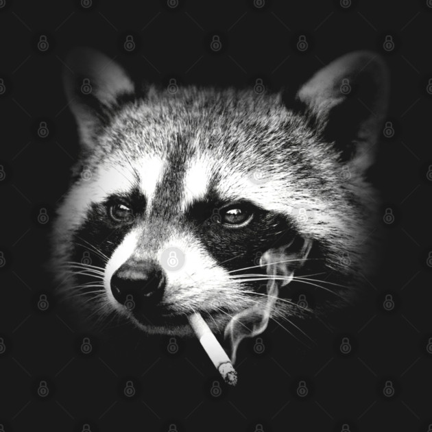 Vintage Retro Smoking Raccoon Meme Black and White Grunge Portrait ...