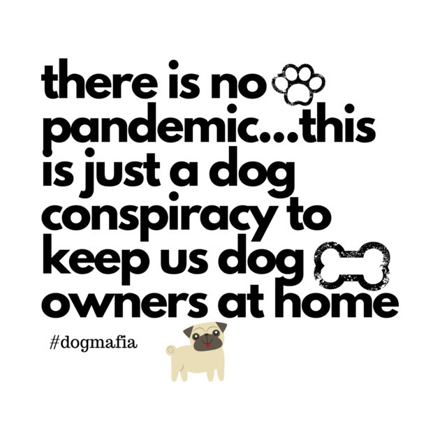conspiracy dog