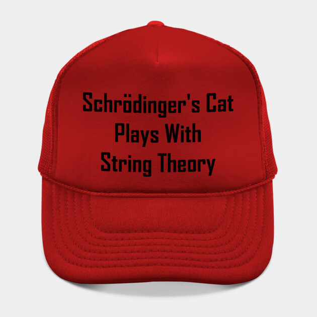 schrodinger's strings