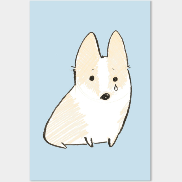 sad corgi