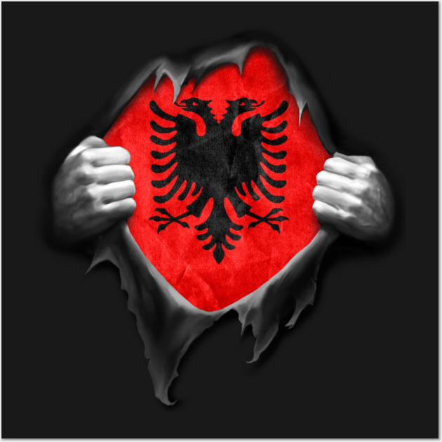 albania flag image