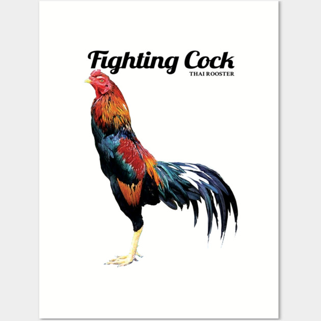 fighting rooster art