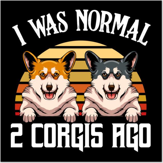 funny things about corgis