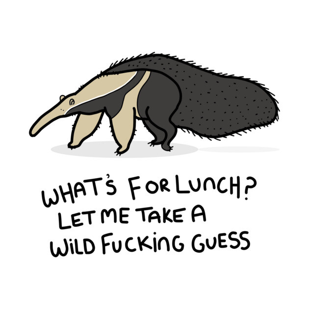 grumpy animals anteater