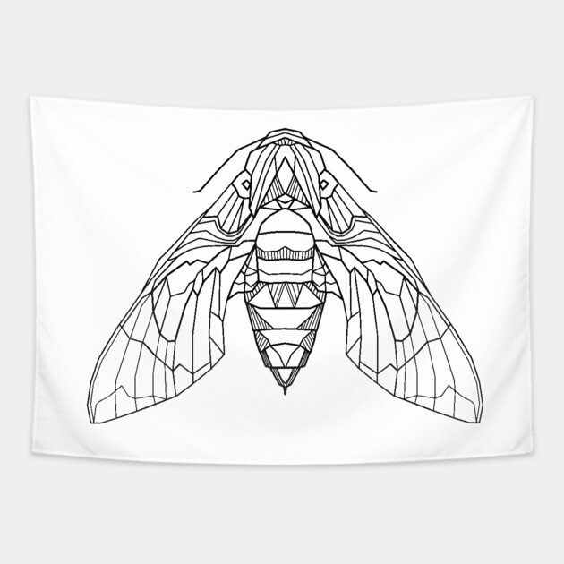 geometric moth