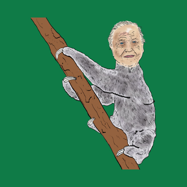 sloth attenborough